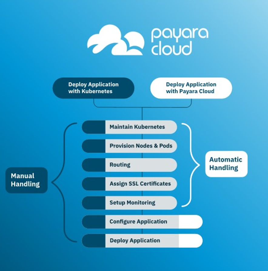 Payara Platform Roadmap 2024 Payara Platform Roadmap 2024
